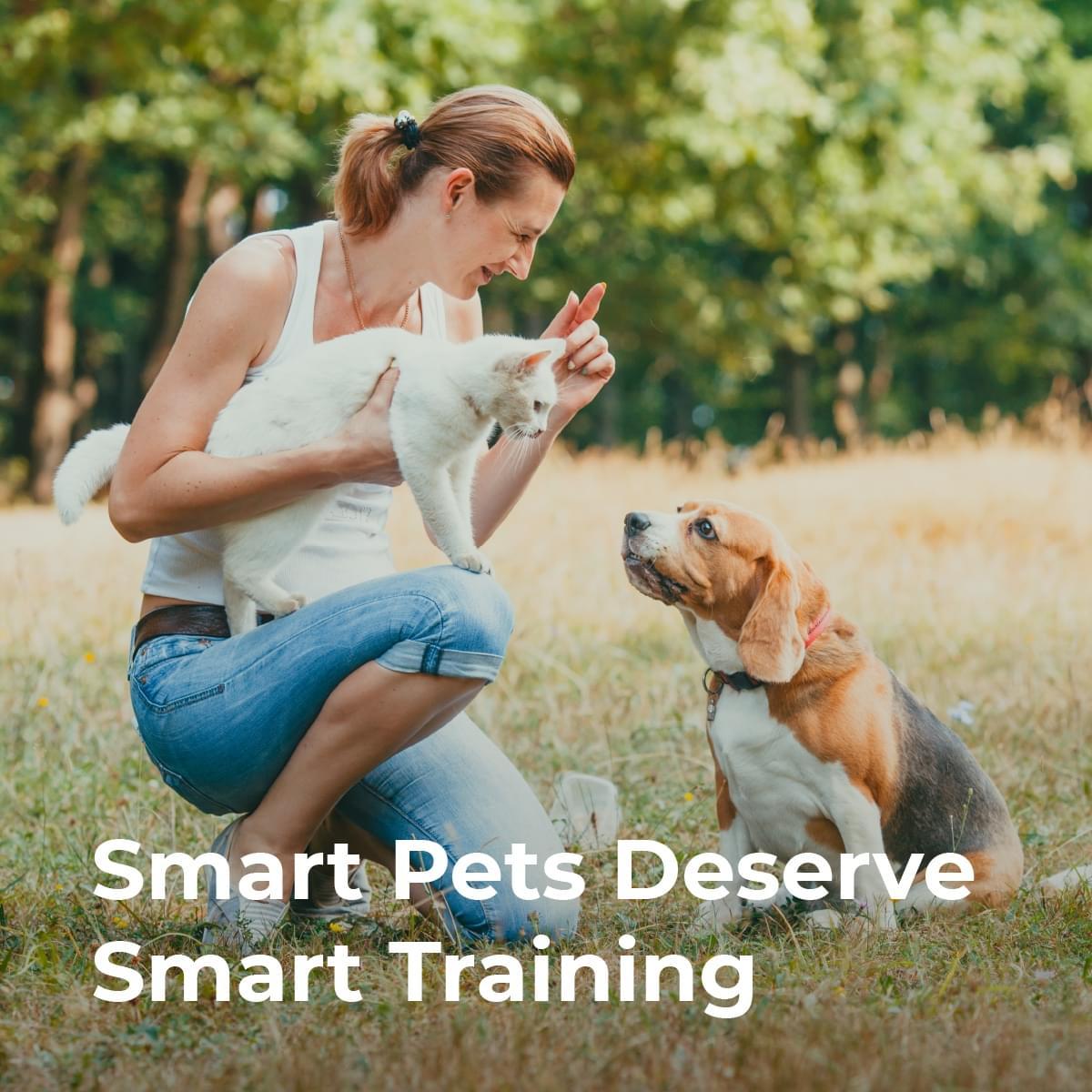 Pets Deserve Smart Training | Pet Cuisine